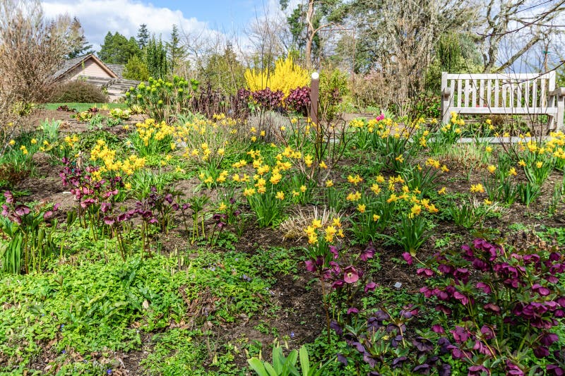 Bellevue Park Early Spring 4 Stock Photo - Image of path, spring: 274672534