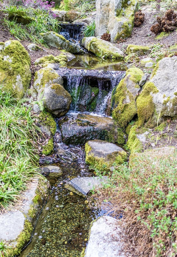 Bellevue Park Small Waterfall Stock Photo - Image of botanical, park ...