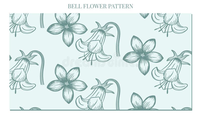 Bellflower Drawing Stock Illustrations – 1,583 Bellflower Drawing Stock ...