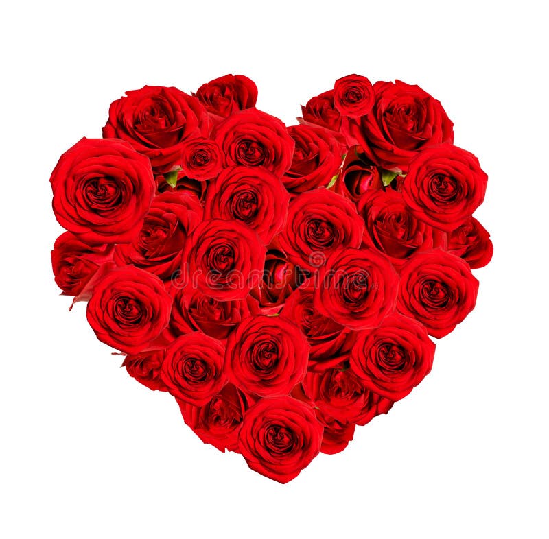 Bello Cuore Fatto Delle Rose Rosse Fotografia Stock - Immagine di ...