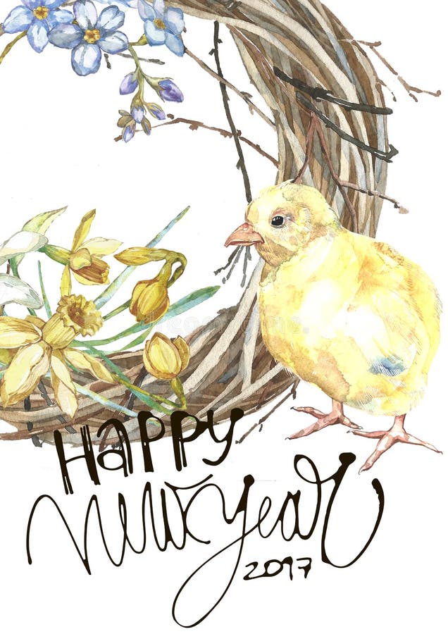 Bellissimo Gallo Ad Acquerello, Colorato E Luminoso Illustrazione di ...