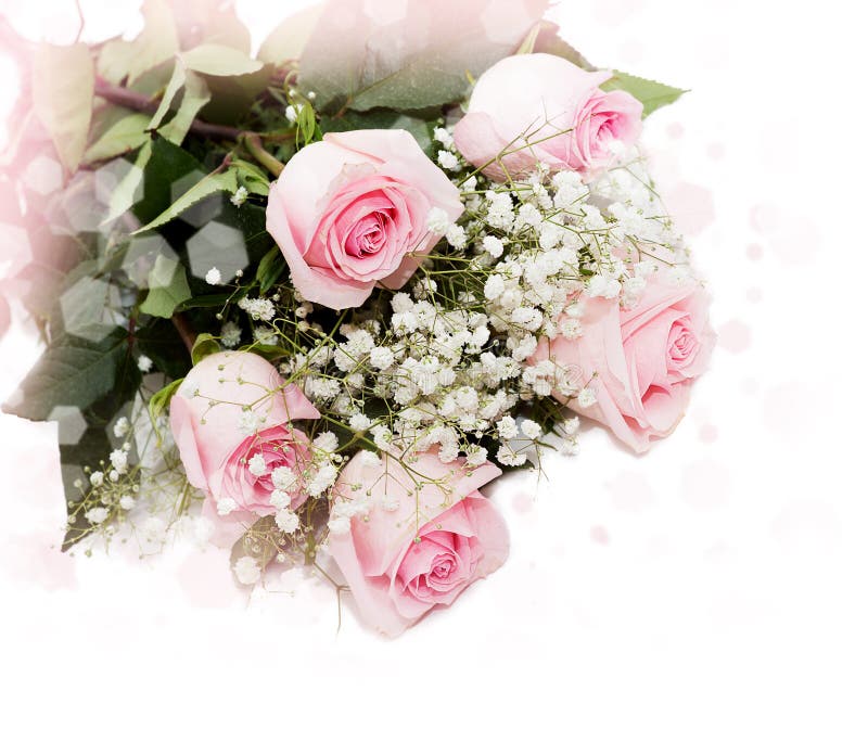 Bello Mazzo Delle Rose Rosa Immagine Stock - Immagine di petali ...