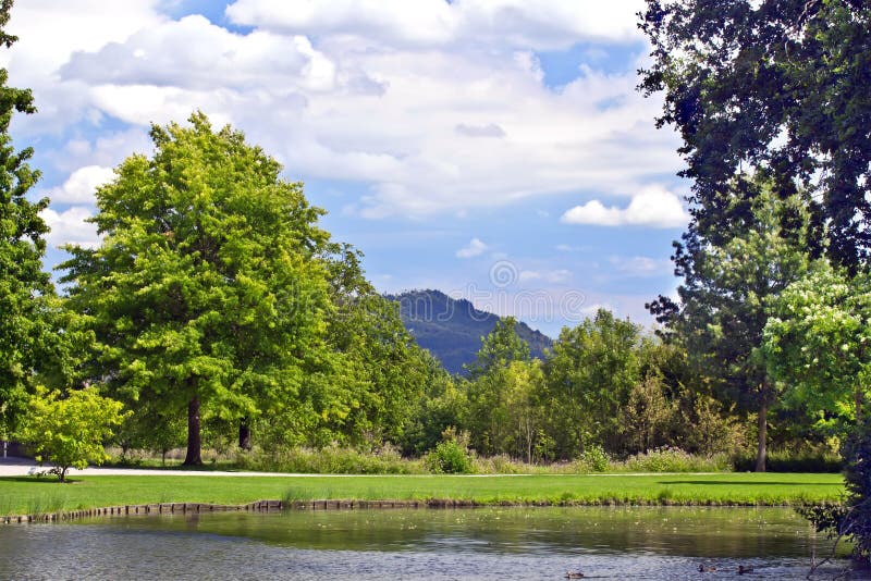 Bello paesaggio rurale immagine stock. Immagine di fogliame - 21065915