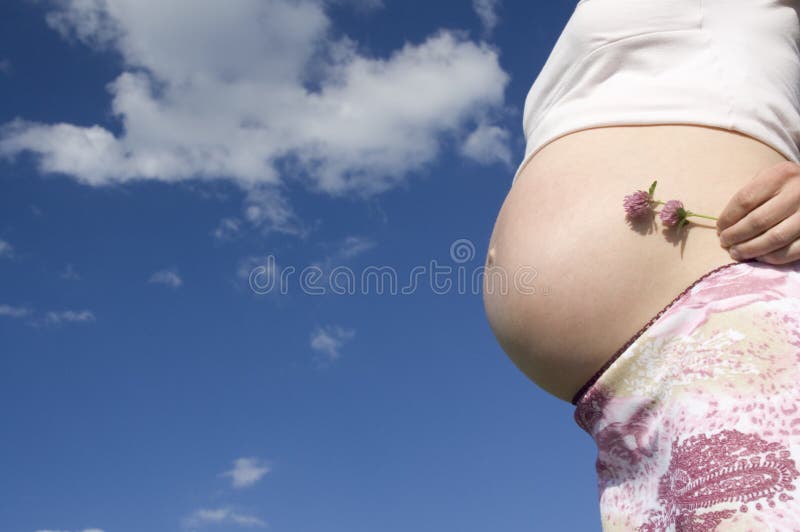 Belly with clover stock photo. Image of person, maternal - 815090