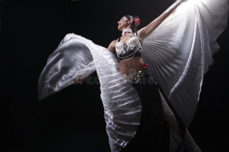 Belly dancer stock photo. Image of motion, model, dancer - 9237968