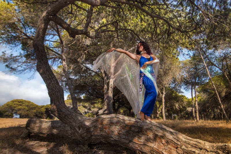 Belly dancer on nature stock image. Image of attractive - 170435717