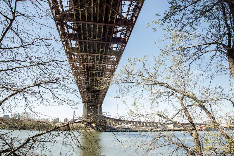 Below the bridge stock photo. Image of skyscraper, tree - 274722234