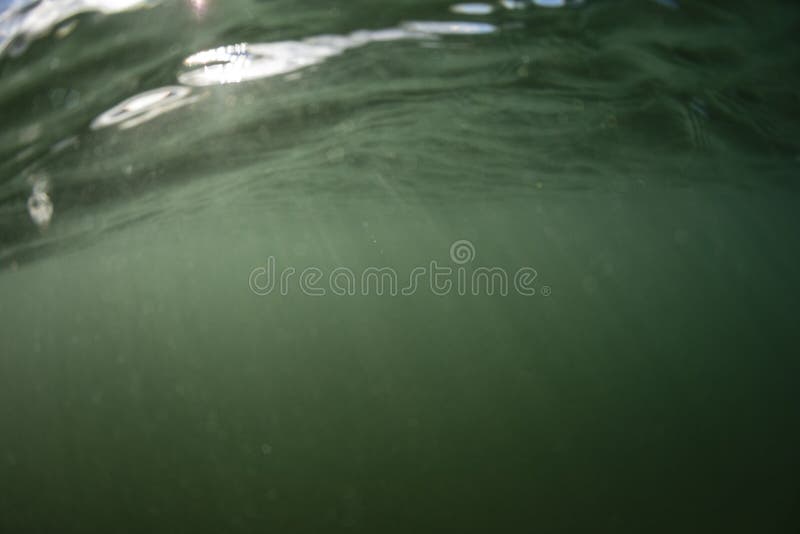 Underwater Looking Up Surface Photos - Free & Royalty-Free Stock Photos ...
