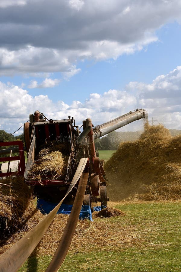 A Belt Driven Threshing Machine is in Full Operation Stock Image ...