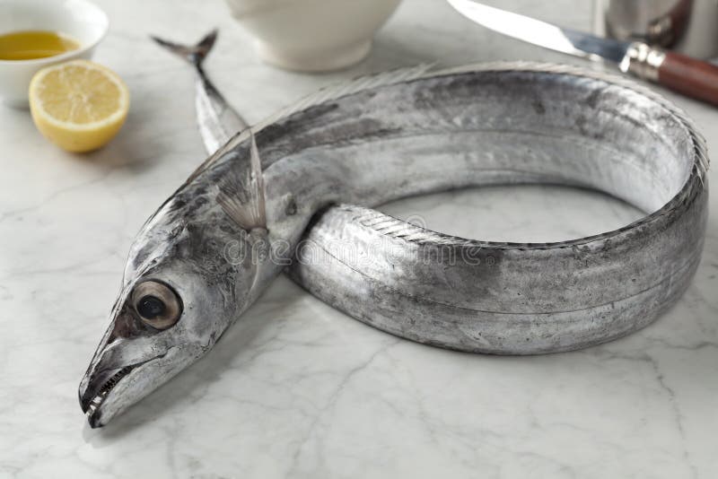 Silver Scabbardfish Stock Photos - Free & Royalty-Free Stock Photos ...