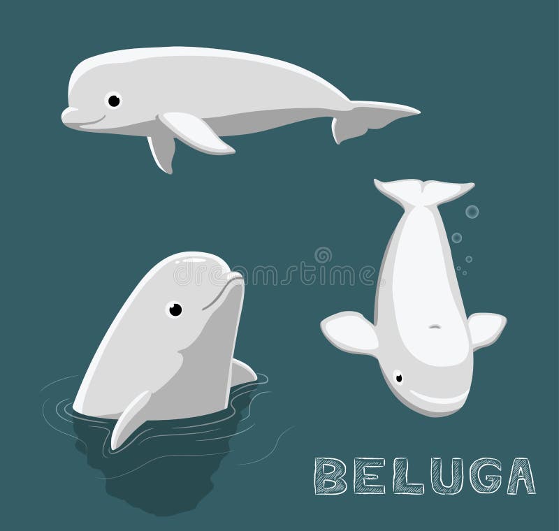 Beluga Cartoon Vector Illustration Stock Vector - Illustration of ...
