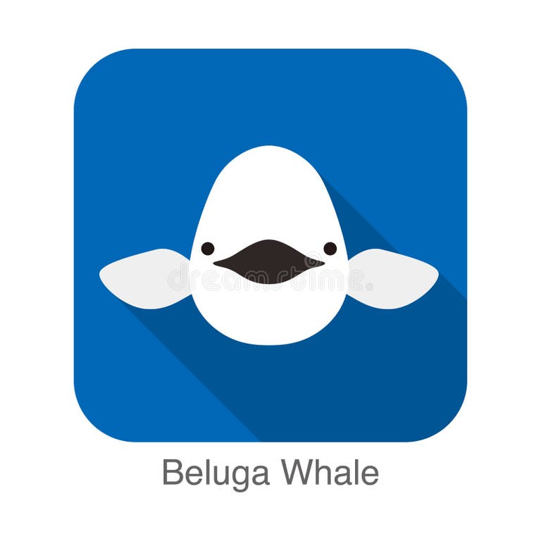 Beluga Whale Face Flat Icon Vector Illustration Stock Vector ...
