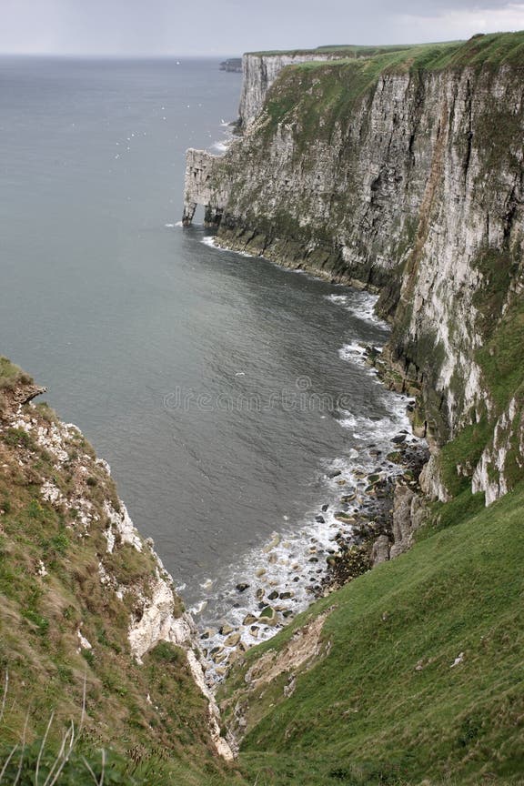 Bempton Cliffs, RSPB Reserve Stock Image - Image of terrain, cape: 32765489