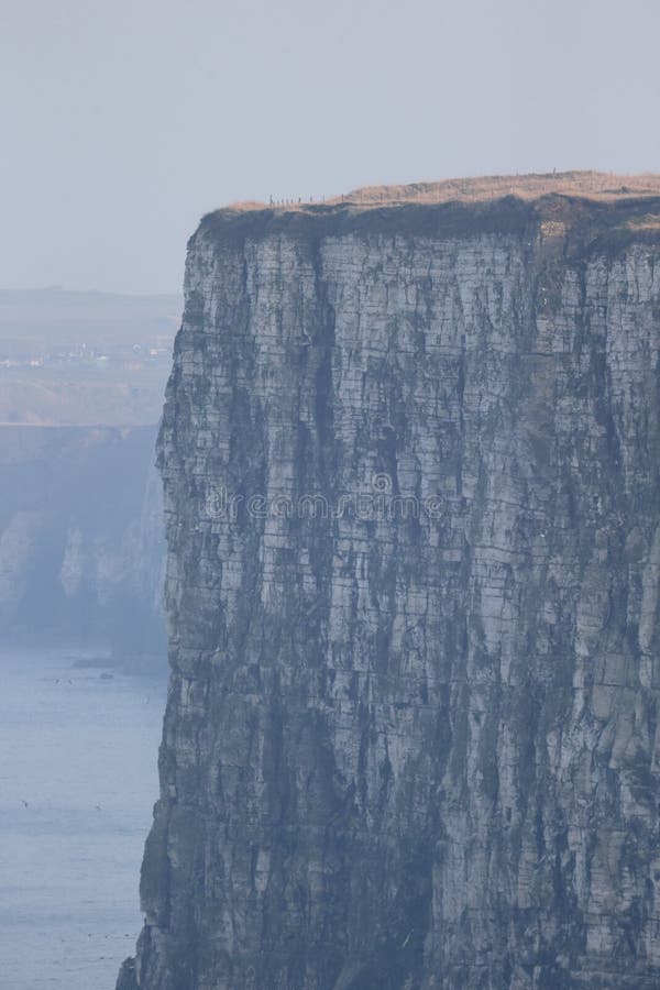 Bempton Cliffs RSPB Reserve Stock Image - Image of coast, rock: 39433519