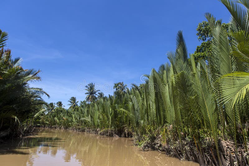 Ben Tre river stock photo. Image of province, river, south - 47249422