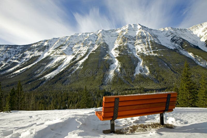 Bench stock photo. Image of forest, view, bench, winter - 12733696