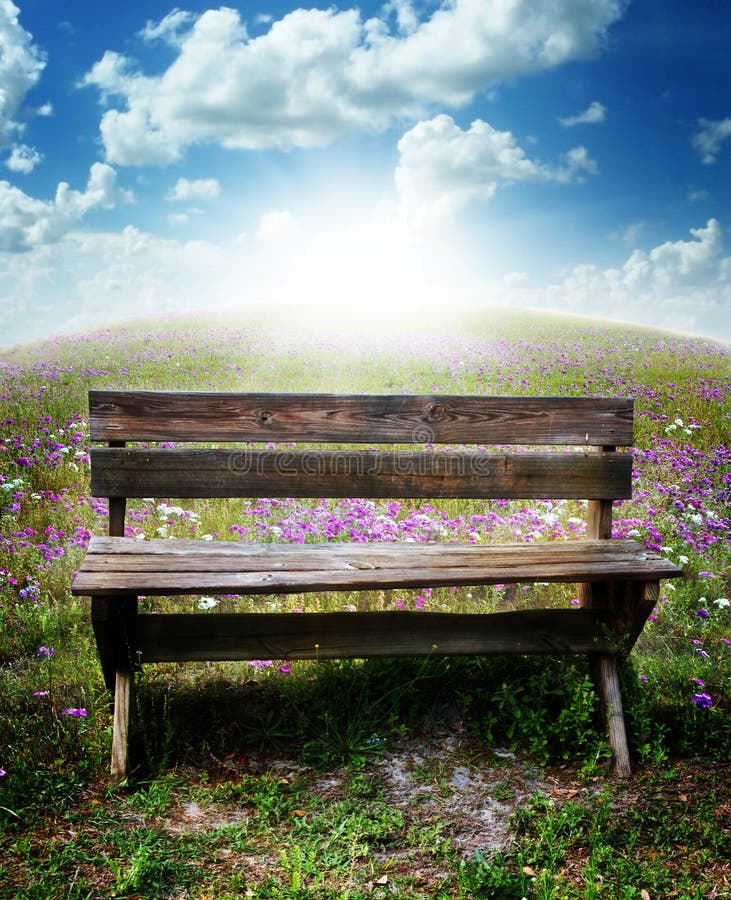 Wooden bench stock photo. Image of rest, seat, lone, text - 7510122