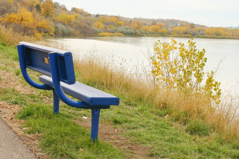 Bench Picture. Image: 1206225