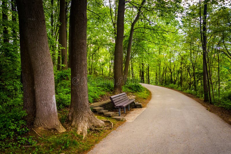 Bench Along a Path through the Forest at Centennial Park in Columbia ...