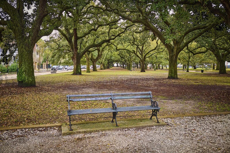 Bench Along Stone Path at White Point Garden Charleston, SC Stock Image ...
