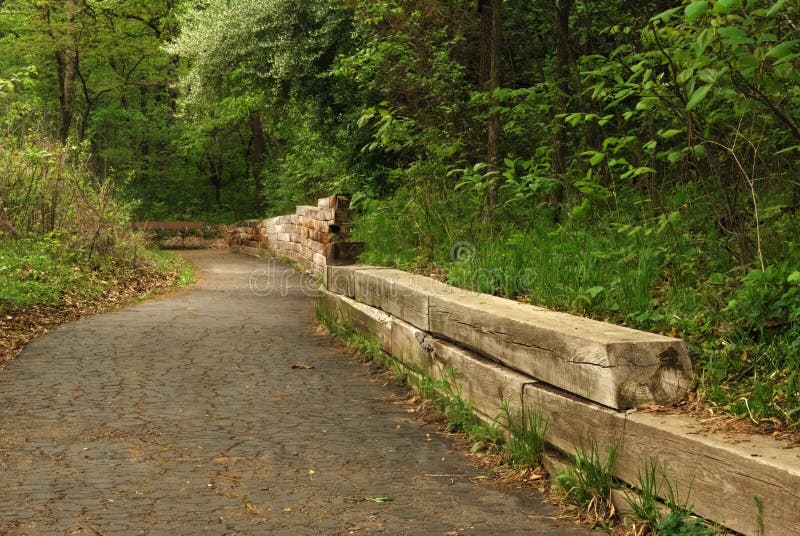 Bench Along Trail stock photo. Image of nature, plants - 14191126