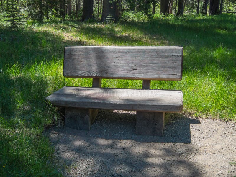 Bench along the trail stock photo. Image of foliage, style - 41803354