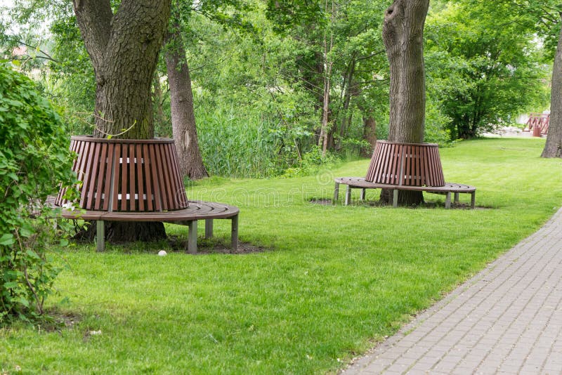Bench Around the Oak in the Park Stock Image - Image of sunlight ...