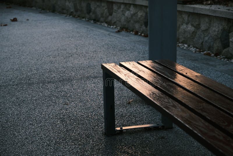 Bench on the Asphalt Pathway in a Park Stock Image - Image of rest ...