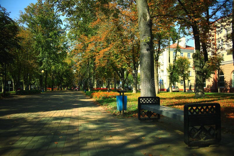 Bench in autumn city park stock photo. Image of outdoors - 60305148