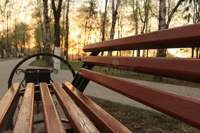 Bench in Autumn Evening Park Stock Photo - Image of geneva, austria ...