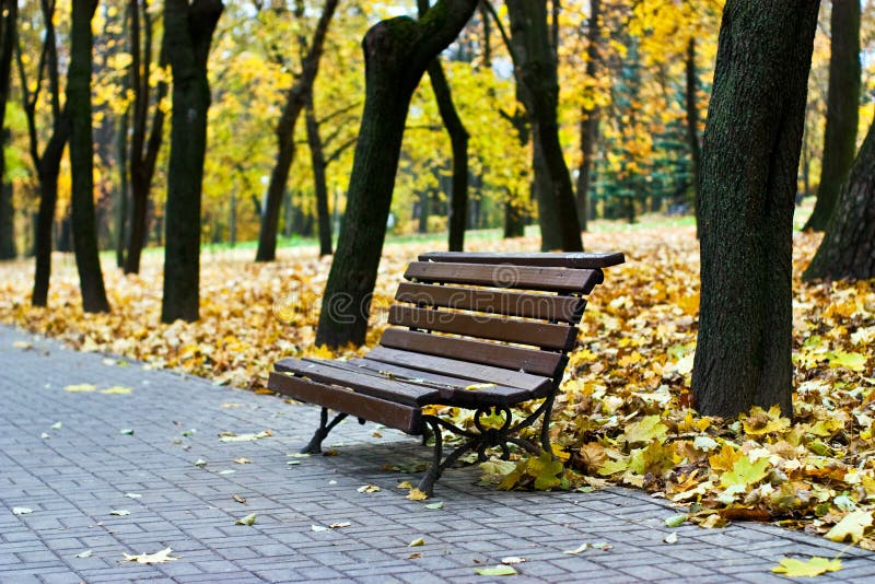 Bench in autumn park stock photo. Image of rest, loneliness - 12685282