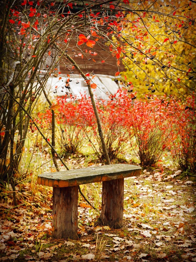 Bench in garden stock image. Image of vibrant, tranquil - 31664121