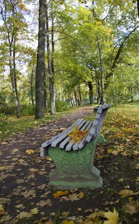 Bench in Autumn Park stock image. Image of green, landscaped - 27095287