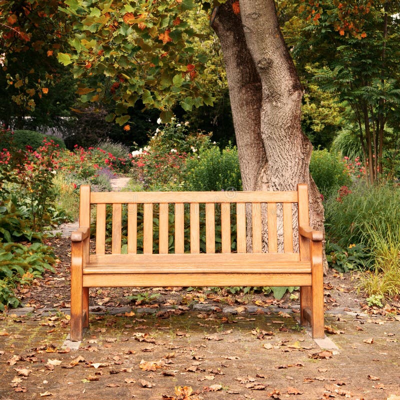 Garden bench in fall stock image. Image of english, backyard - 21108459
