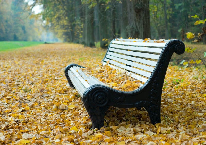 Bench in a autumn park stock photo. Image of scene, rural - 3312234