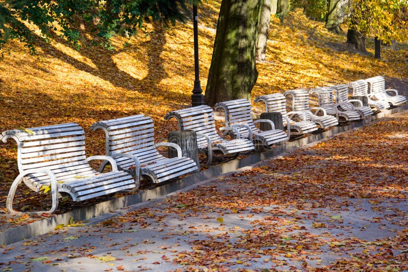 Bench in Autumn Park. Autumn Fall Stock Photo - Image of leaf, outdoor ...