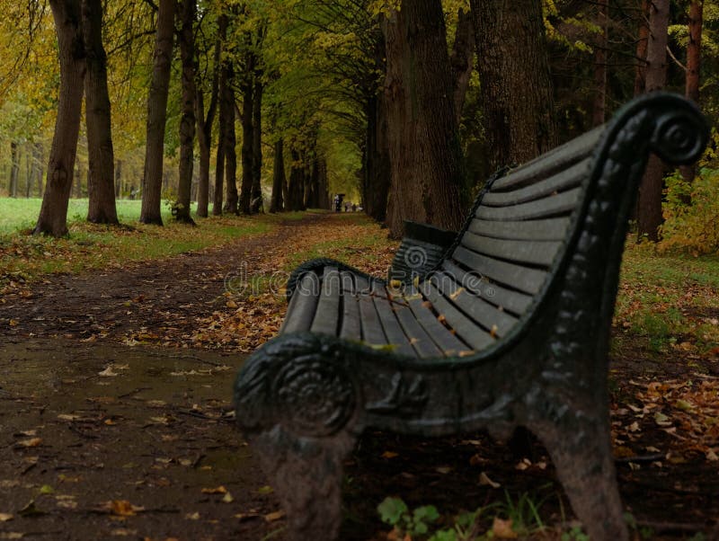 Bench in the autumn park stock photo. Image of relax - 184017288