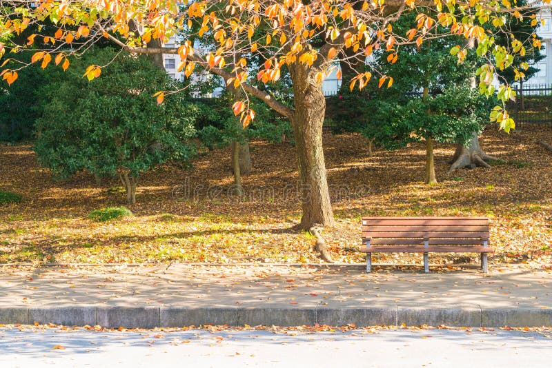 Bench in autumn park stock photo. Image of empty, nature - 96197414