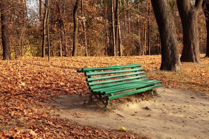 Bench in autumn forest stock photo. Image of beauty, background - 32916578