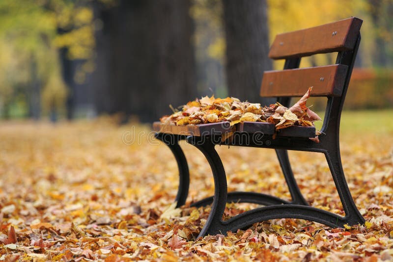 Bench in autumn park stock photo. Image of bench, nature - 34522452