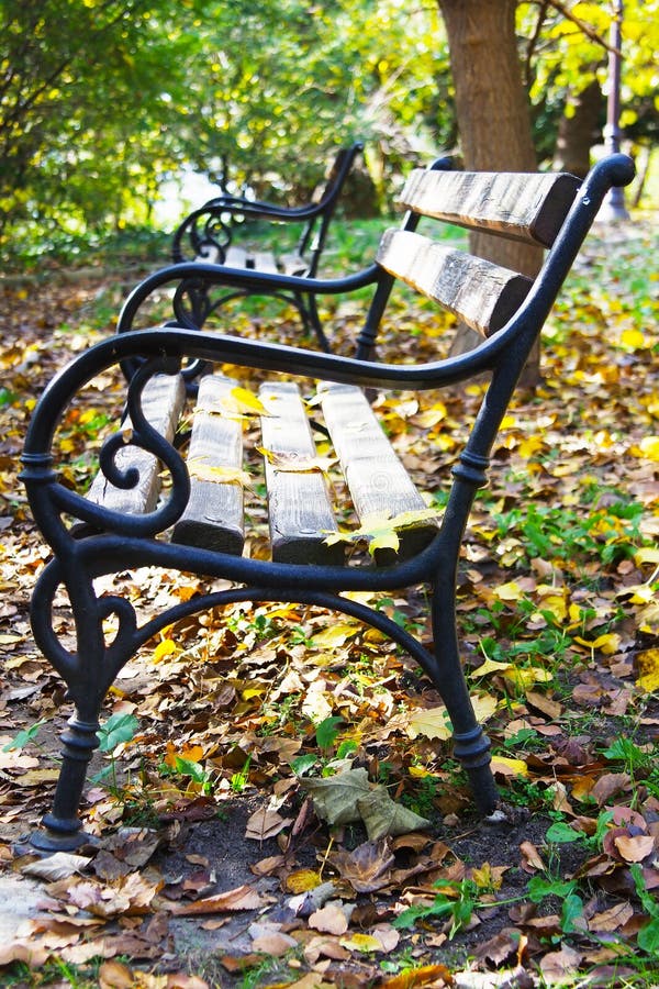 Bench in the autumn park stock image. Image of green - 46573175