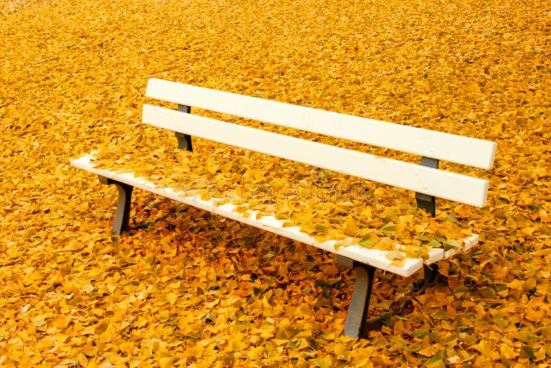 Bench in autumn park stock photo. Image of beauty, natur - 50602090