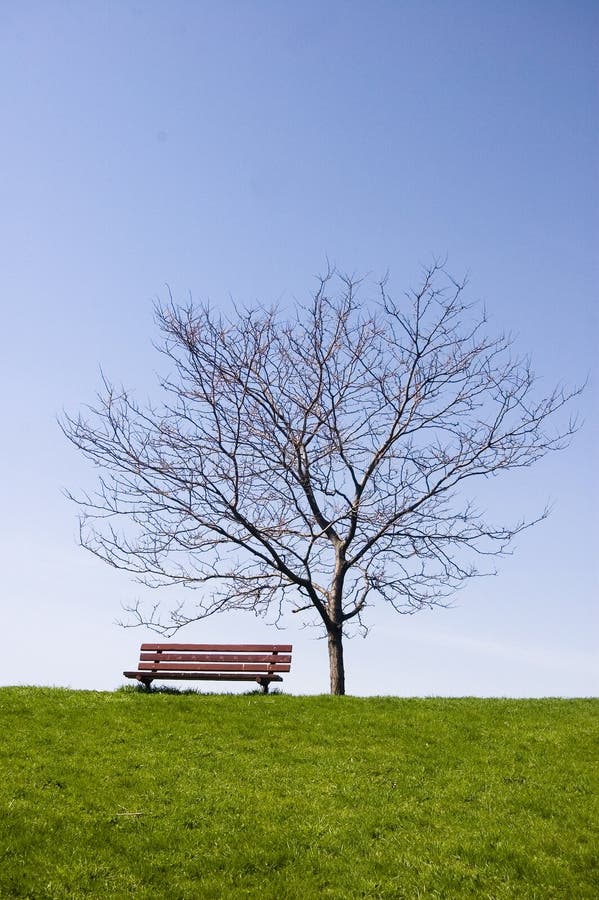 Bench , bare single tree stock image. Image of seat, field - 14016777