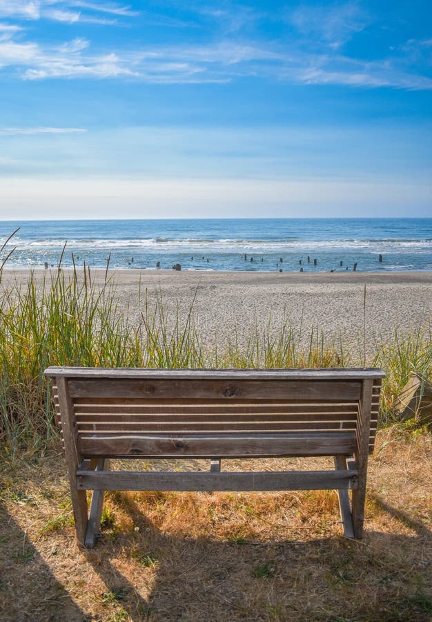Bench on the Beach stock photo. Image of wood, seashore - 145406082