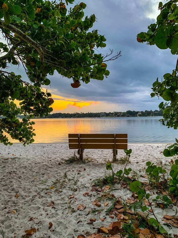 Bench on the Beach at Sunset Stock Photo - Image of bench, alone: 230638110