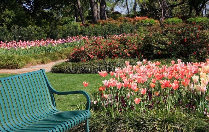 Bench in the Beautiful Garden Stock Image - Image of outdoor, benches ...
