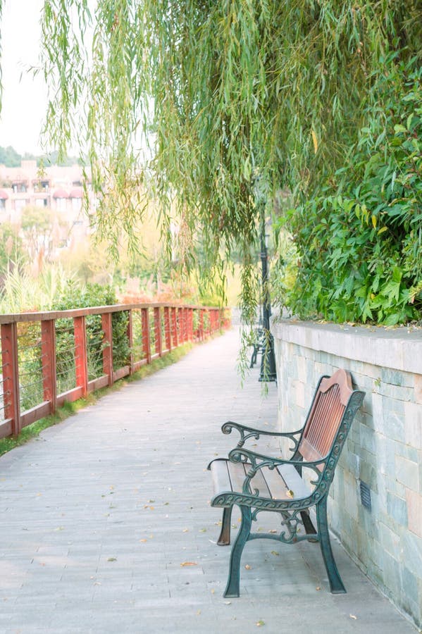 Bench below willow branch stock photo. Image of garden - 117789140
