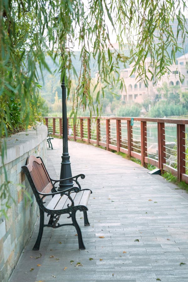 Bench below willow tree stock image. Image of relaxation - 117788959