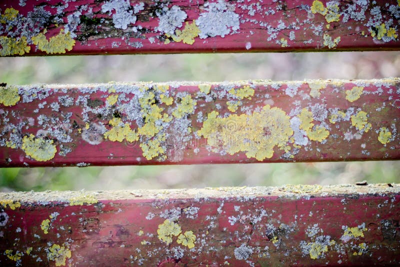 Bench boards stock image. Image of focus, sunny, sharp - 51121675