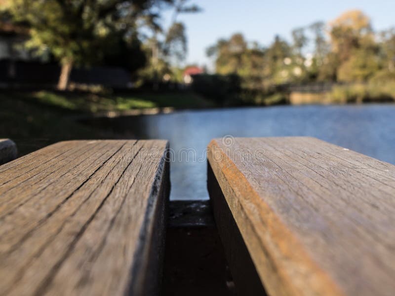 Bench boards by the lake stock photo. Image of green - 129111608